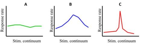 ABA 2 Terms And Questions Flashcards Quizlet
