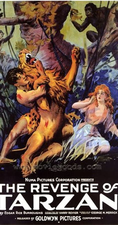 All Tarzan Movies Archicopax
