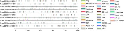 Cis Regulatory Elements Cres Identified From The Promoter Regions Of