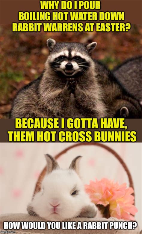 Easter Bunny Memes And S Imgflip