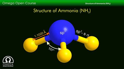 Nh3 Molecular Geometry Molecular Shapes Exam Corner