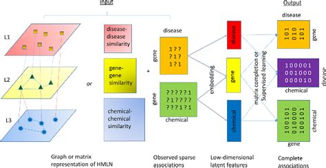 Figure 1 From Heterogeneous Multi Layered Network Model For Omics Data