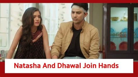 Pandya Store Spoiler Dhawal And Natasha Join Hands For A Mission