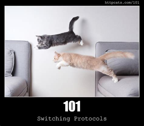 101 Switching Protocols Status Code And Cats