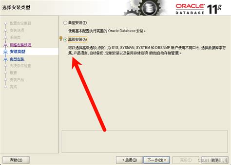 安装oracle11goracle11g百度网盘 Csdn博客