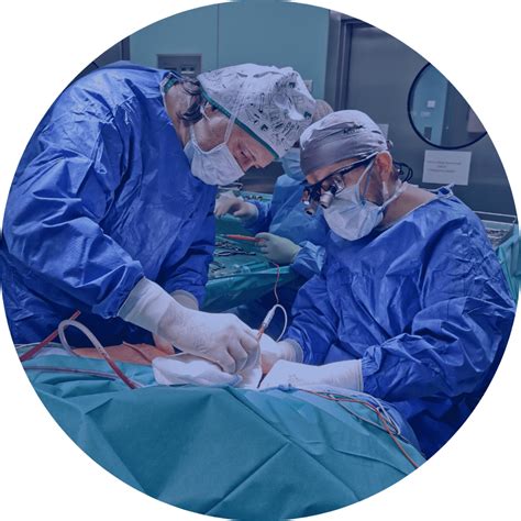 Brachial Plexus Reconstruction Orthos