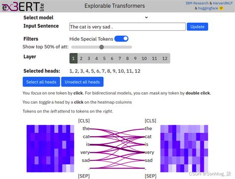 【transformers】第 11 章：注意力可视化和实验跟踪 csdn博客