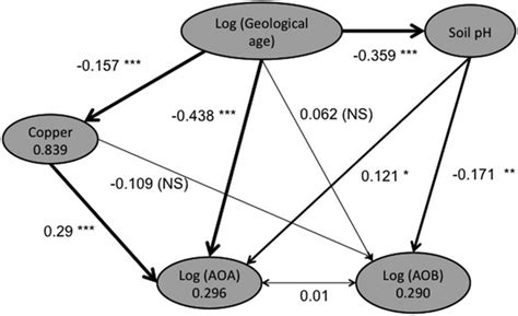 Ancient Landscapes And The Relationship With Microbial Nitrification Scientific Reports