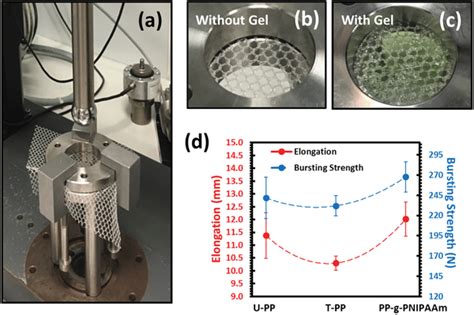 A Experimental Set‐up For Bursting Strength Test Of Pp Meshes B C Download Scientific