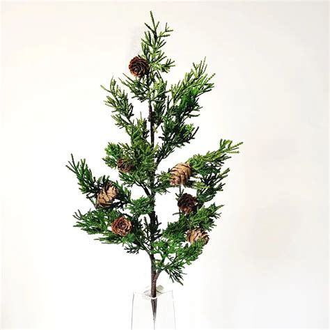 28 Everlasting Juniper Spray Flowers Talk Tivoli