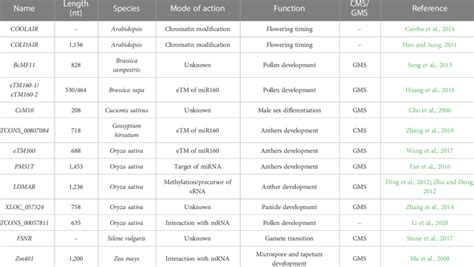 long non coding rnas lncrnas involved in plant reproductive