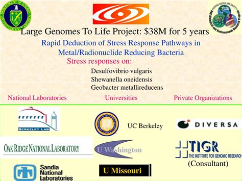 PPT Microbial Functional Genomics Genomic Technologies And Their Applications PowerPoint