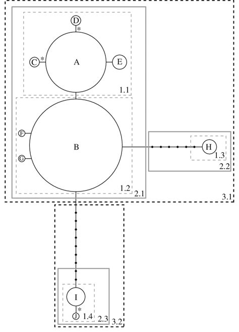 Haplotype Network Constructed Under A Criterion Of Statistical