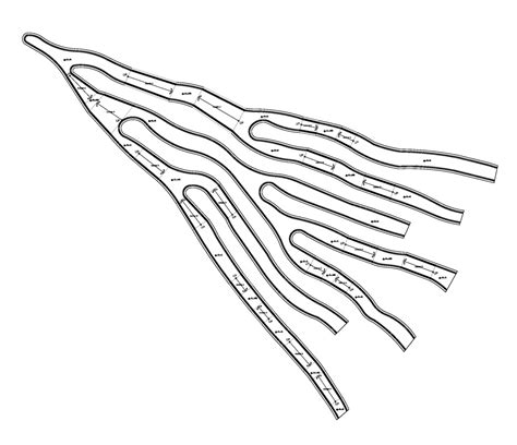 Gallery Of Root Bench Yong Ju Lee Architecture 24