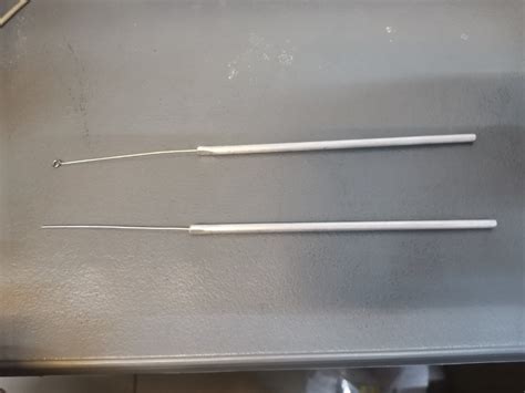 Inoculating Loop And Needle Health And Nutrition Medical Supplies And Tools On Carousell