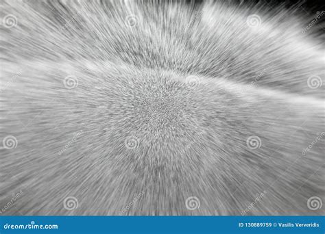 Sprinkler System Working On Fresh Green Grass On Football Socce Stock