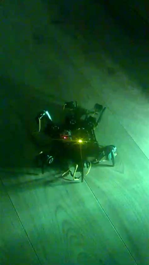 My Freenove Hexapod Robot R Robots
