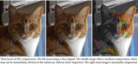 Image Compression Using Different Machine Learning Techniques Comet