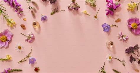 아로마테라피 에센셜 오일 유향 피는 오레가노 톱풀 및 원형 복사 공간이 있는 기타 꽃 병이 있는 여름 배경 사진 Unsplash의 아름다움 이미지