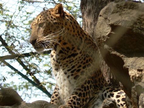 15 Best Places To Visit In And Near Rohtak Top Attractions