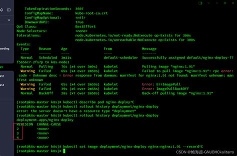Linux：kubernetes（k8s）deployment的操作（13）