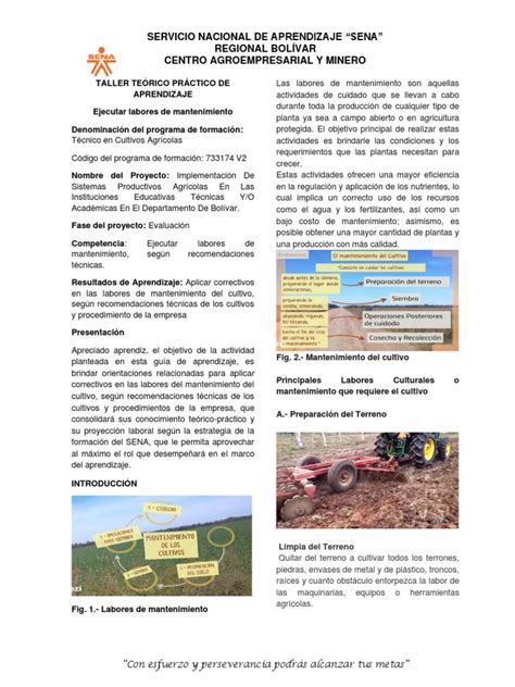 Mantenimiento De Cultivos Agrícolas Pdf Agricultura Suelo