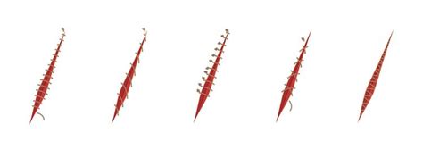 Baseball Stitches And Red Lace With Loop Of Thread