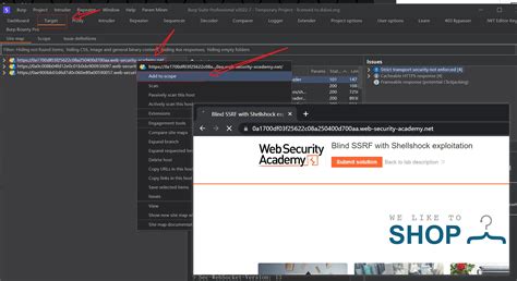 Portswigger Ssrf Lab 服务器端请求伪造靶场 🔰雨苁ℒ🔰