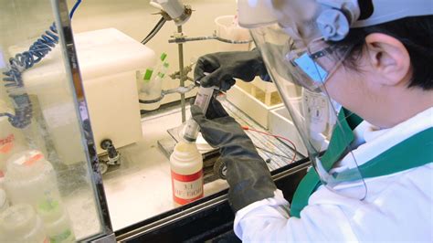 Video Synthesis Functionalization And Characterization Of Fusogenic