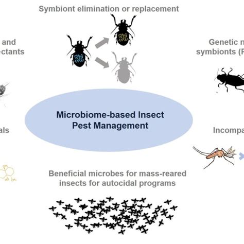 Pdf Microbiome Innovation In Agriculture Development Of Microbial Based Tools For Insect Pest