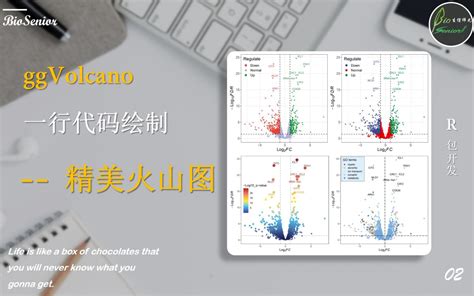 肝一个r包！帮你实现一行代码绘制火山图！！！ 生信师兄 生信师兄 哔哩哔哩视频