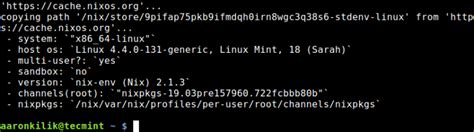 Nix The Purely Functional Package Manager For Linux