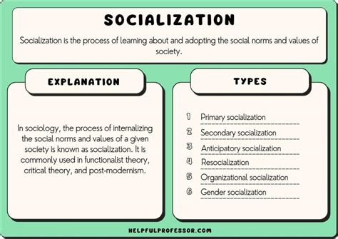 18 Best Socialization Examples Sociology Concepts 2025