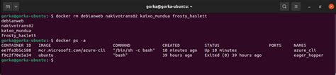 Eliminar Contenedores Docker Aprendiendo A Virtualizar