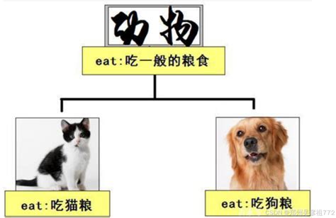 Java面向对象之多态,向上转型我们大家庭的由来 Csdn博客 Java面向对象之多态,向上转型我们大家庭的由来 Csdn博客