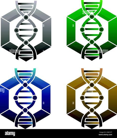 vector illustration of dna helix decoding symbol of spiral sequence
