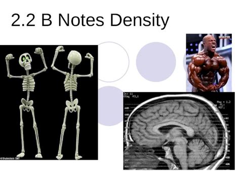 Ppt 22 B Notes Density Dokumentips