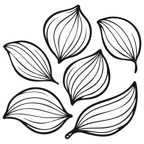 Illustrated Leaf Shapes In Black Lines Vector Illustration Stock