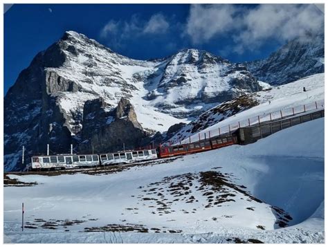 스위스 융프라우 Vip 패스 코스 신라면 고산병 날씨 높이 네이버 블로그