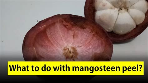 What To Do With Mangosteen Peel Unlocking The Hidden Potential Of