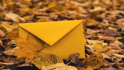 Digital Marketing Datasack Solutions