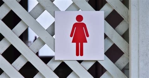 화장실에서 대변 예의 아니다”카페서 날벼락 맞은 女 ‘분통 사장의 ‘반박