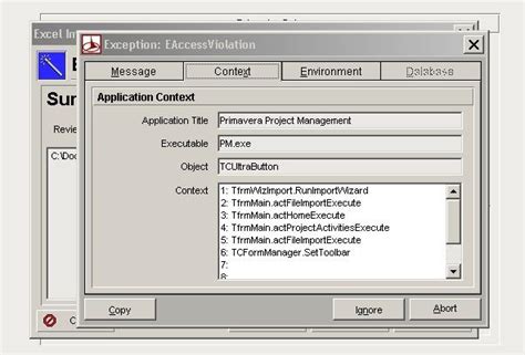 avaa error when import a excel file to p6 dedicated to project controls