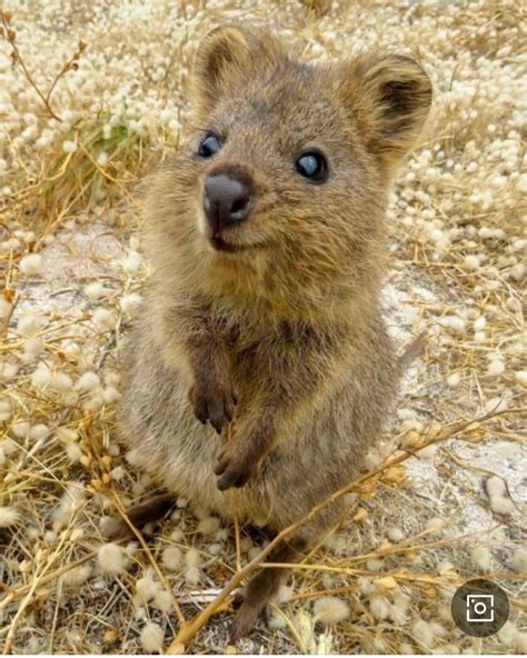 과외 선생님 찾기 쿼카12 고려대학교 21학번 남자 영어 서울 강남구 서울 강동구 서울 강북구 서울 강서구 서울 관악구 서울 광진구 서울 구로구 서울 금천구 서울