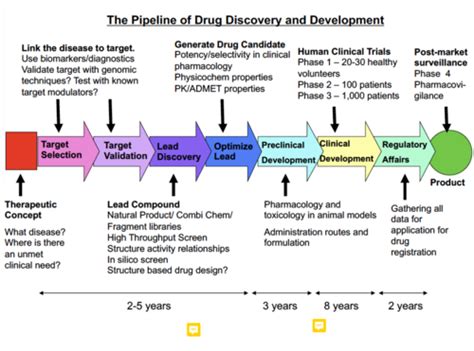 Lead Compounds Explained Flashcards Quizlet
