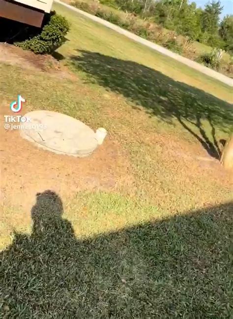 Video Memes Lmzukc8ma By Thefunnyatheist 133 Comments Ifunny