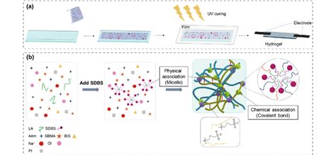 A Hydrogel Fabrication Process B Schematic Of The Preparation Process