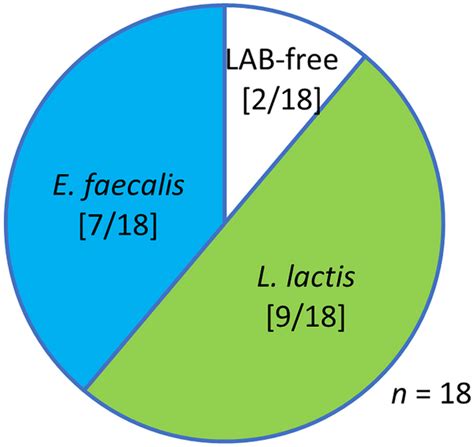 Enterococcus Faecalis Plos One