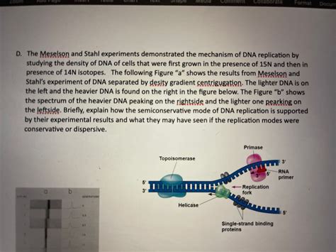 Answered The Leftside Briefly Explain How The Bartleby