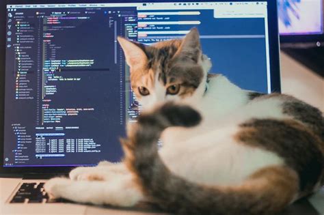 Learntocode Code Software Technology Developer Tech Programmer